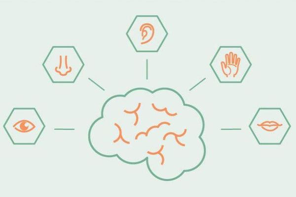 How We Create a Memory | Legacybox